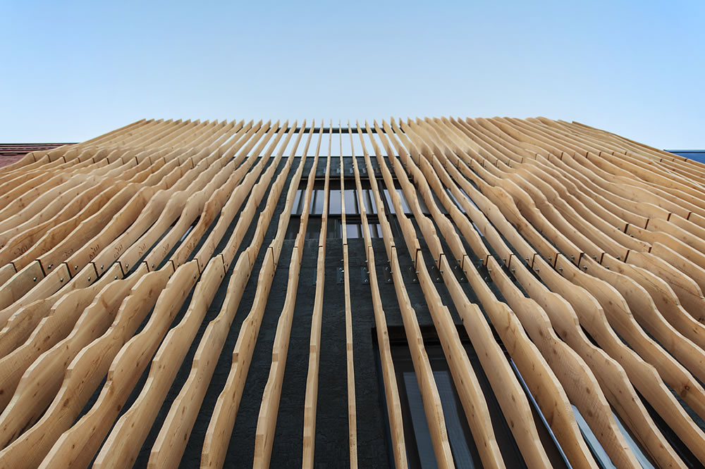 Wood Design Awards: 2015 Winners - Work Wild