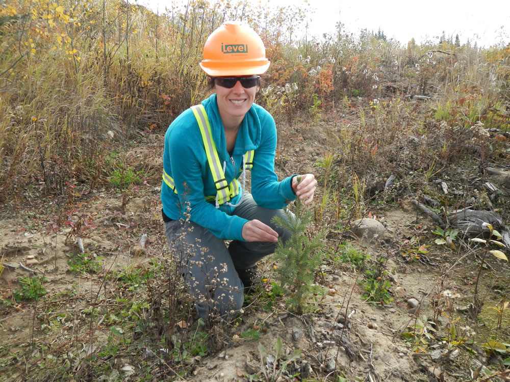 Forestry Job Profile: Silviculture Forester - Work Wild
