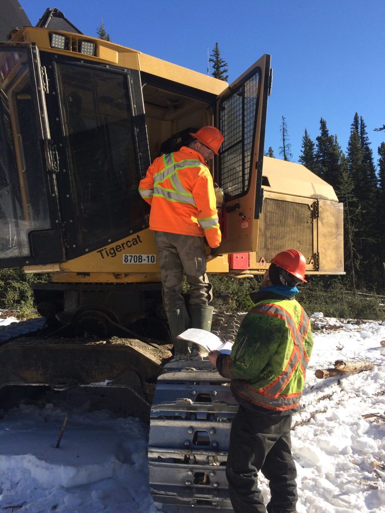 Forestry Job Profile: Operations Supervisor - Work Wild