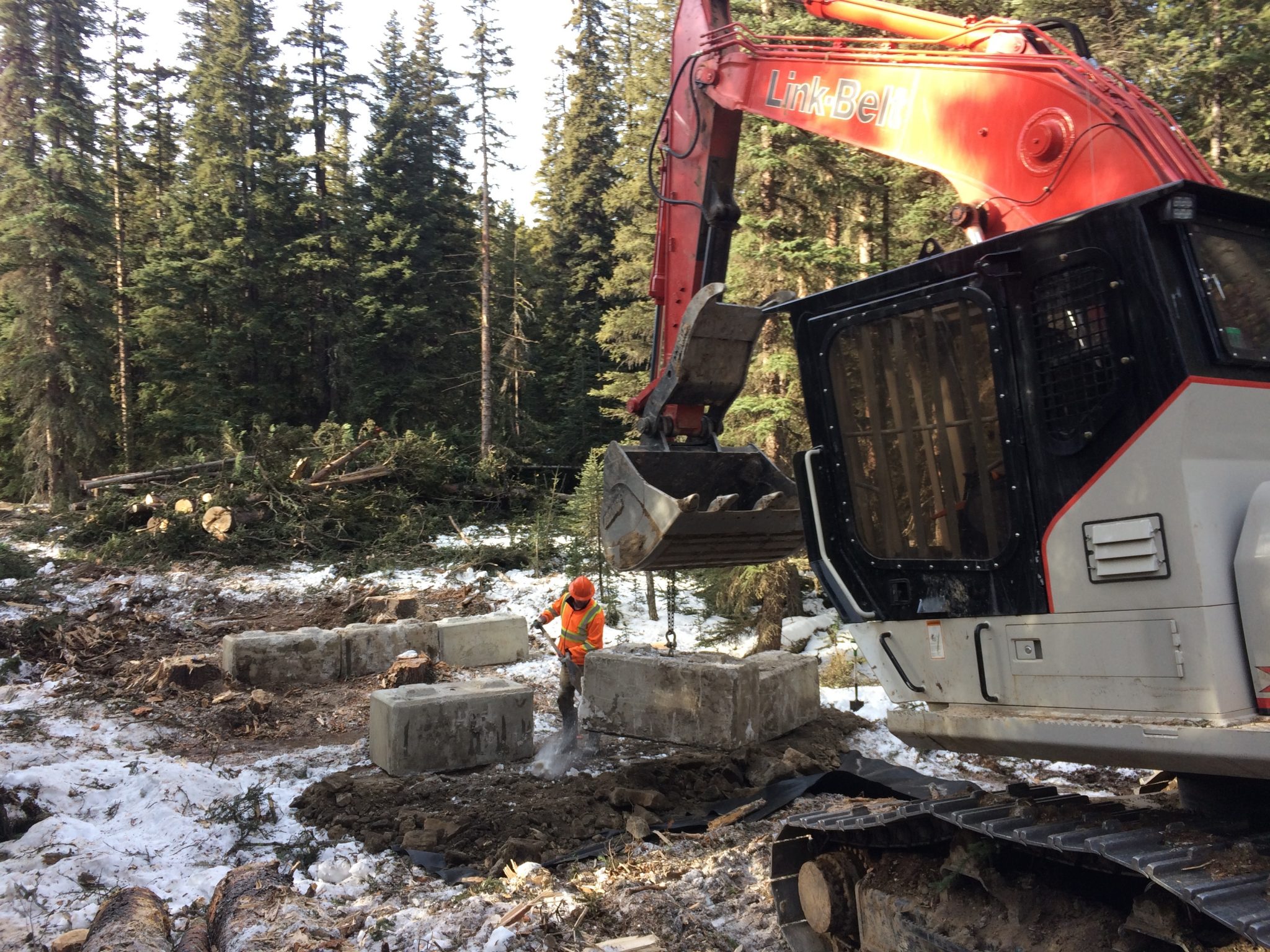 Forestry Job Profile: Operations Supervisor - Work Wild