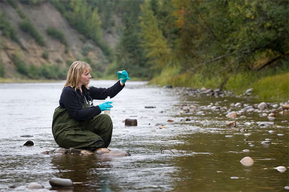 Career Quiz and Profiles - Work Wild