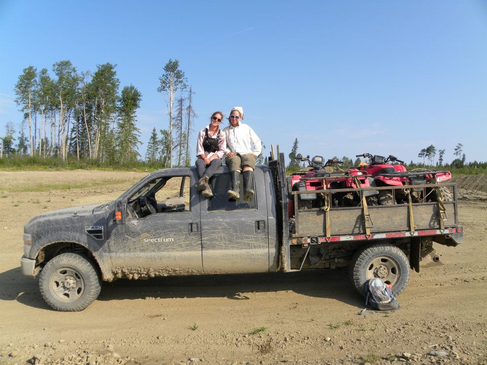 Forestry Job Profile: Tree Planter - Work Wild